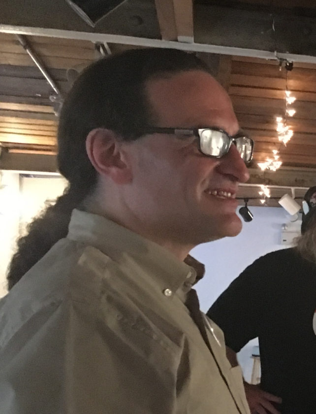 Green Party NY Senate candidate kicked off ballot | News, Sports, Jobs ...